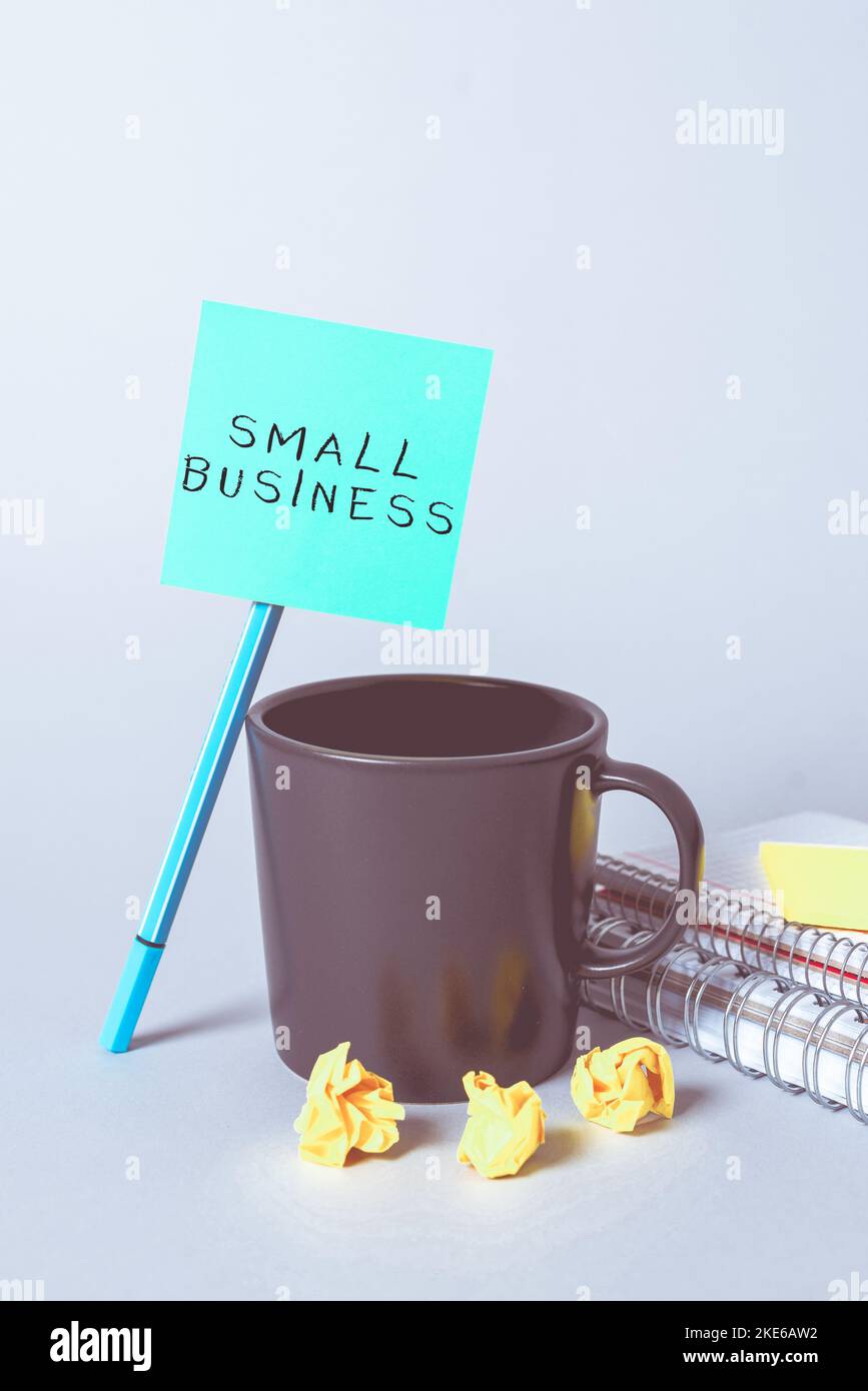Writing displaying text Small Business. Business overview an ...