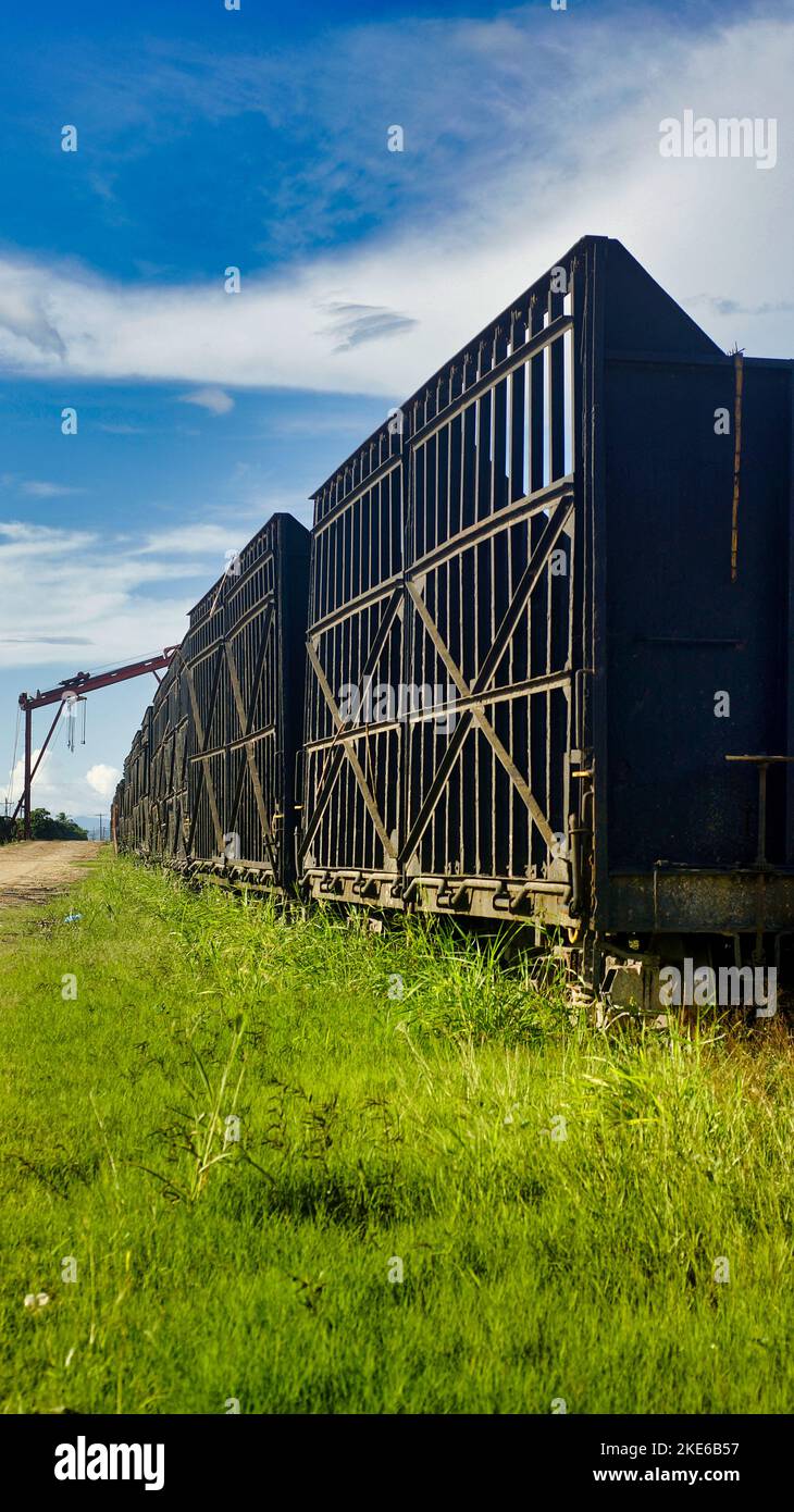 Train to carry sugar cane Stock Photo - Alamy