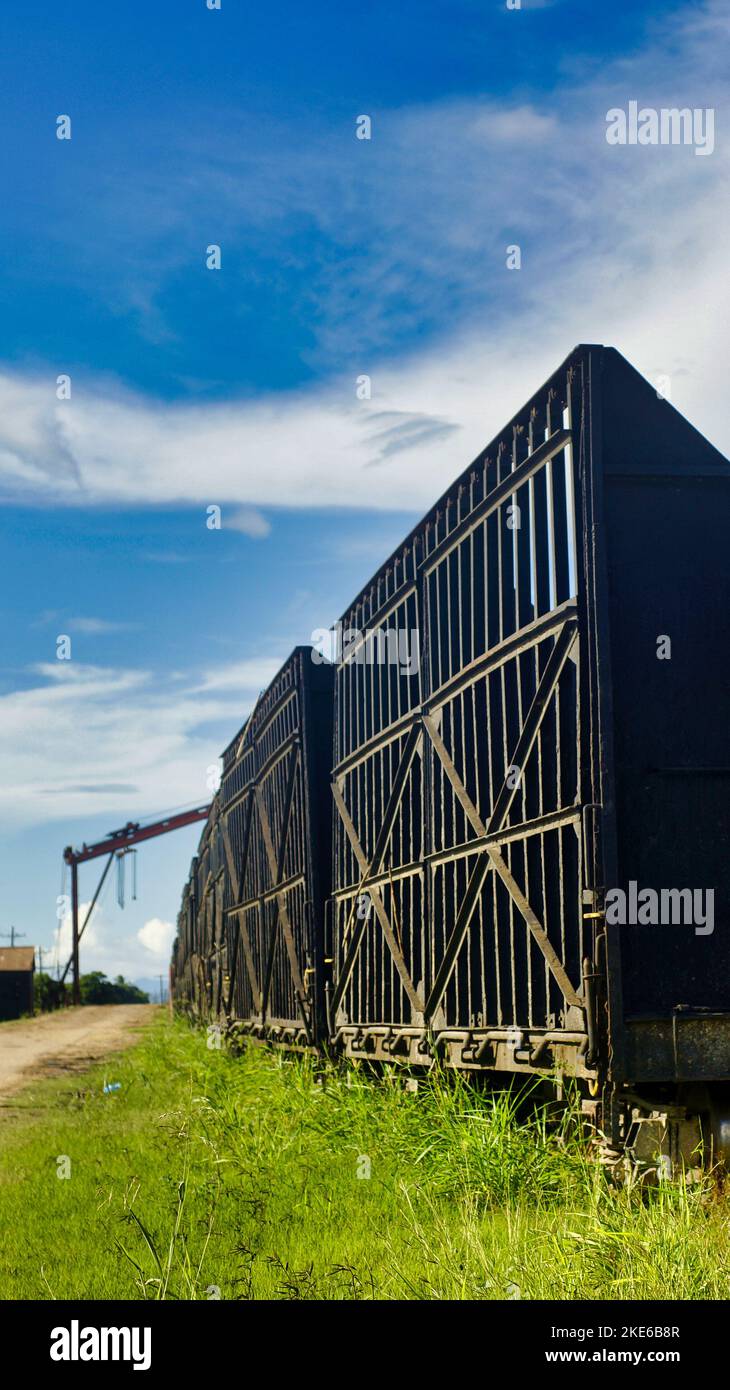 Train to carry sugar cane Stock Photo - Alamy