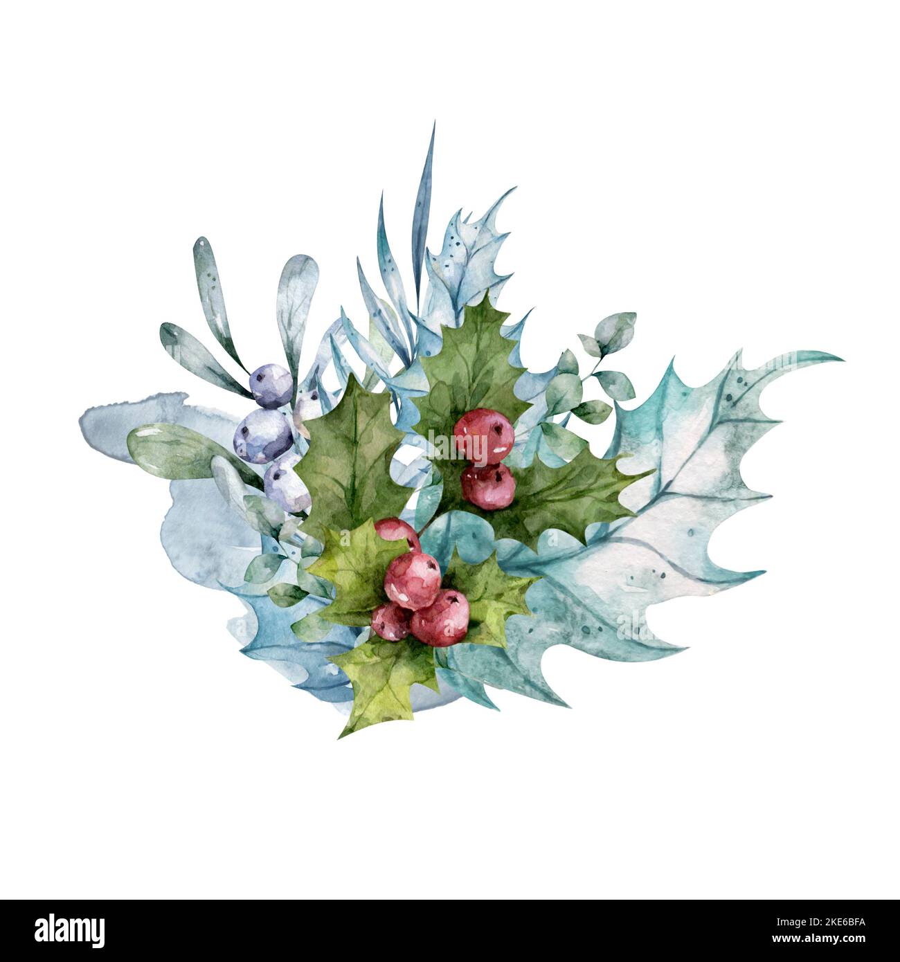 Winter watercolor plants illustration frame for text. Blue snow flowers ...