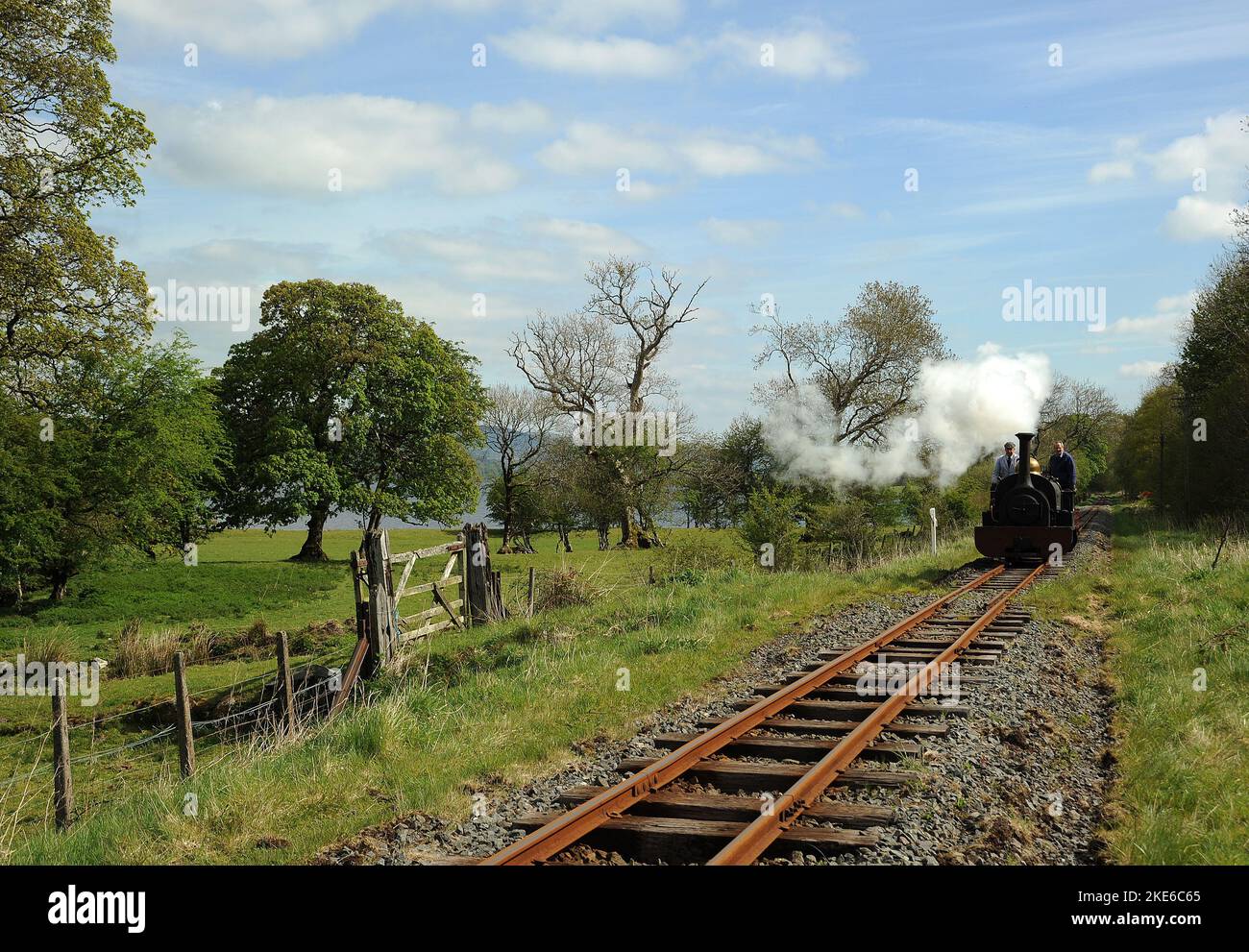 "Winifred" near Ysgubor Isaf with a train of slate wagons Stock Photo ...