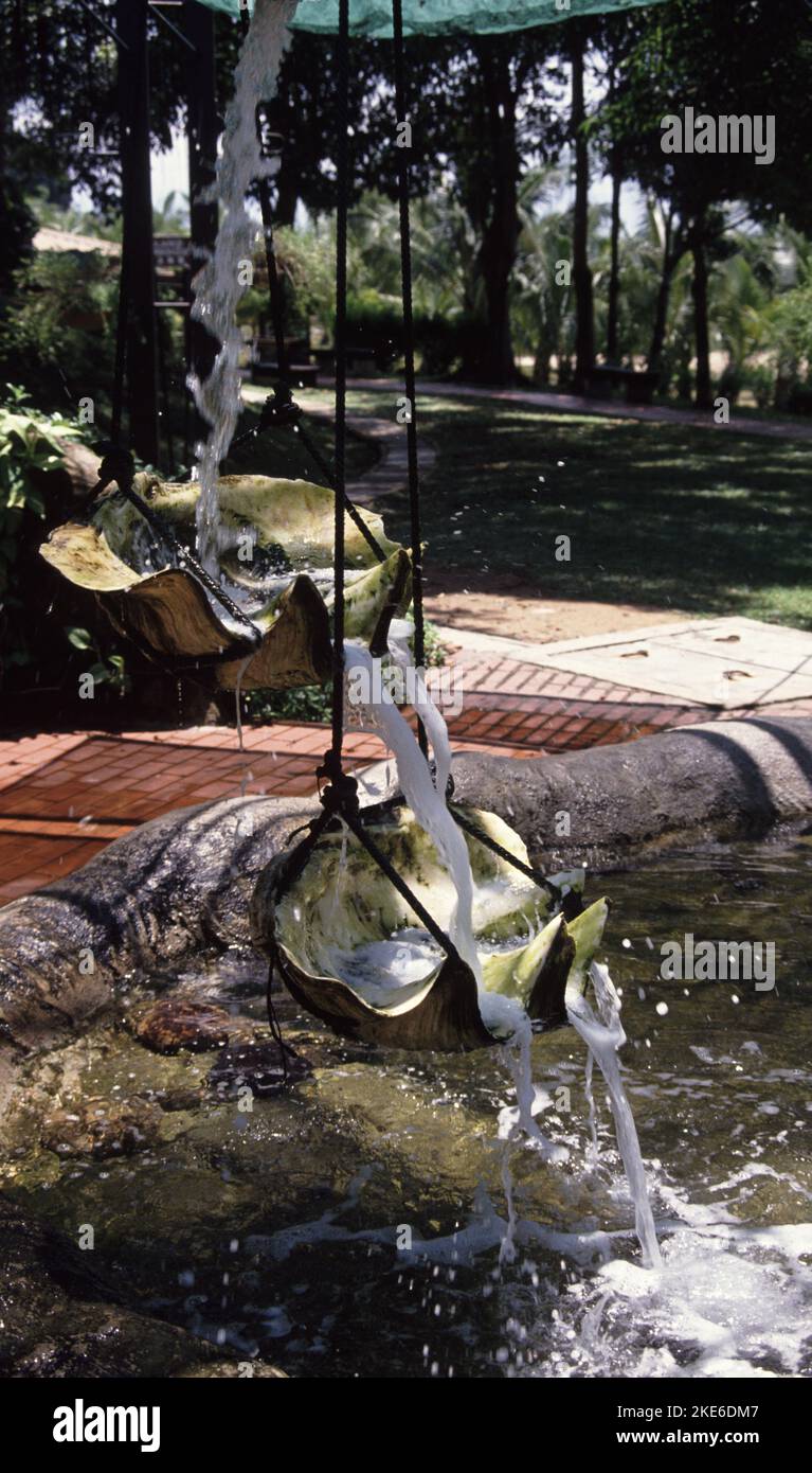 Water feature made with shell of Giant clam Tridacna sp Stock Photo - Alamy