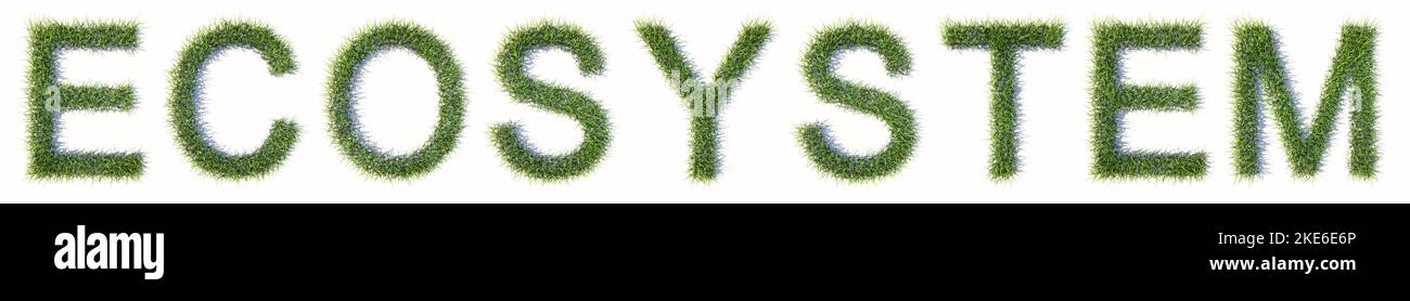 Concept or conceptual green lawn grass forming the ECOSYSTEM text ...