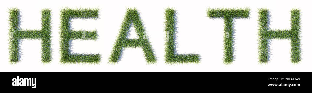 Concept or conceptual green lawn grass forming the word HEALTH isolated ...