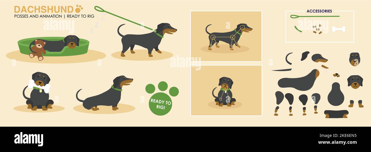 Multiple dog walking Stock Vector Images - Alamy