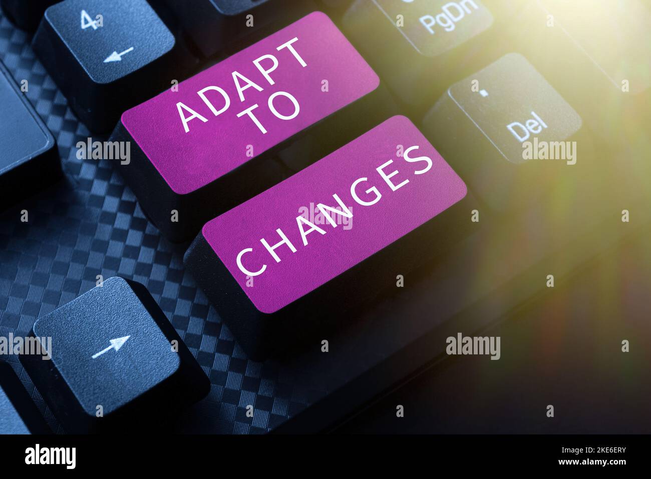 Text showing inspiration Adapt To Changes. Conceptual photo Embrace new ...