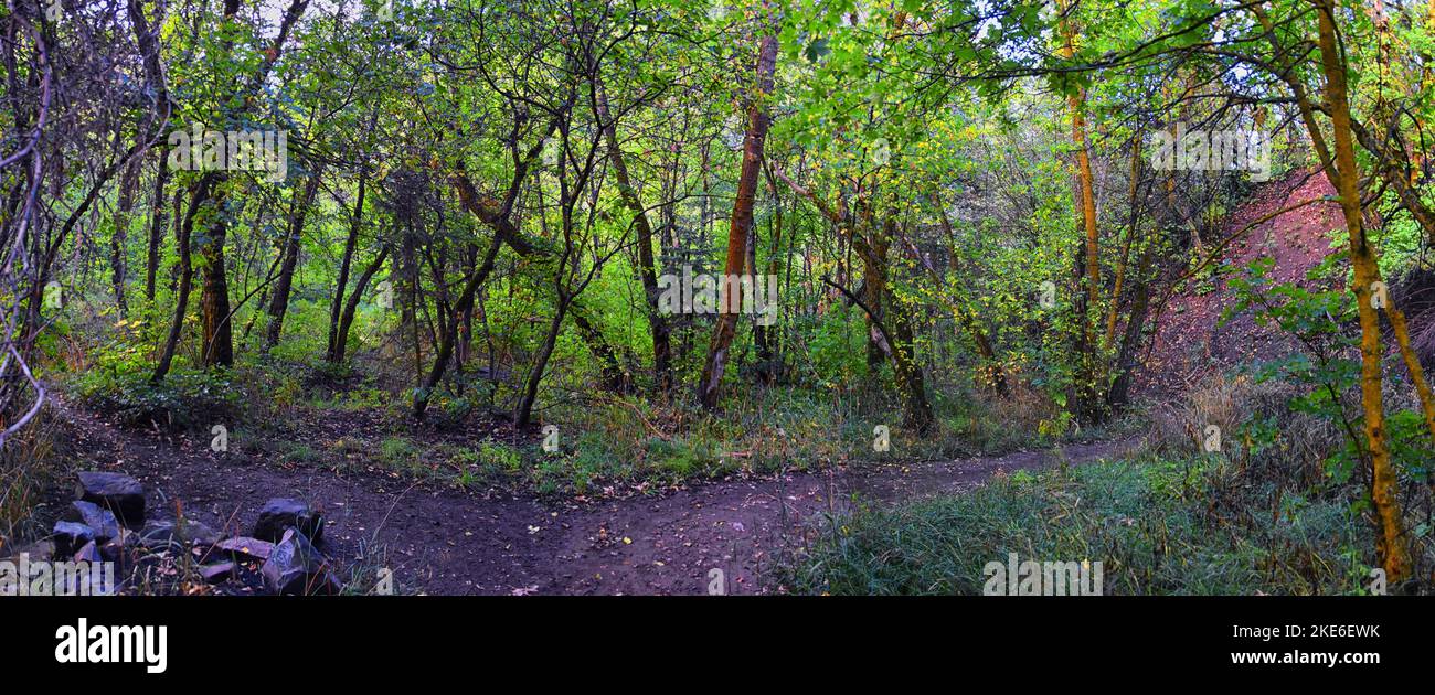 Deseret Peak views hiking by Oquirrh Mountain Range Rocky Mountains ...