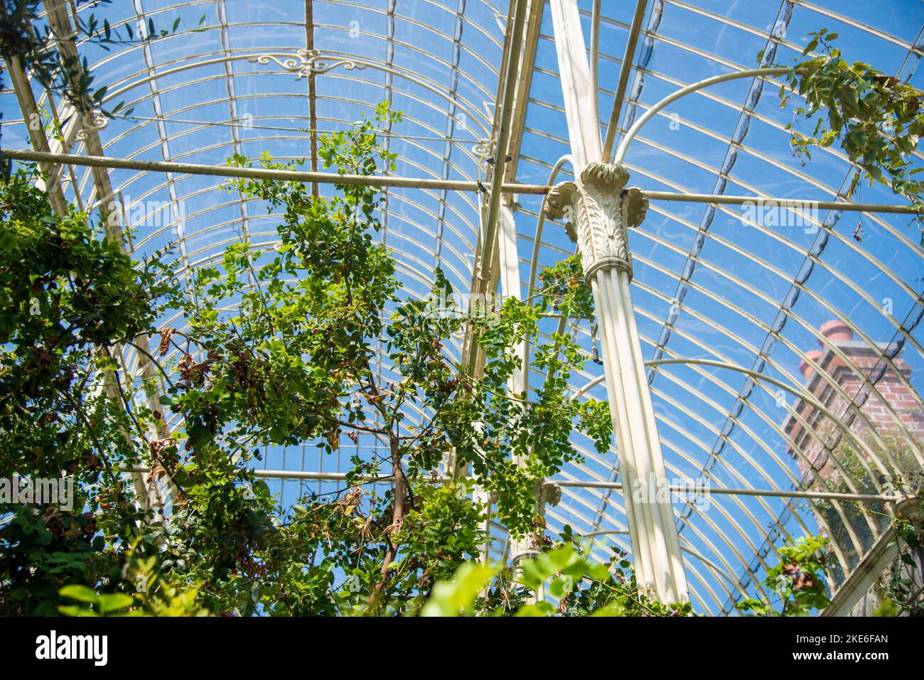The National Botanic Gardens of Ireland Stock Photo - Alamy
