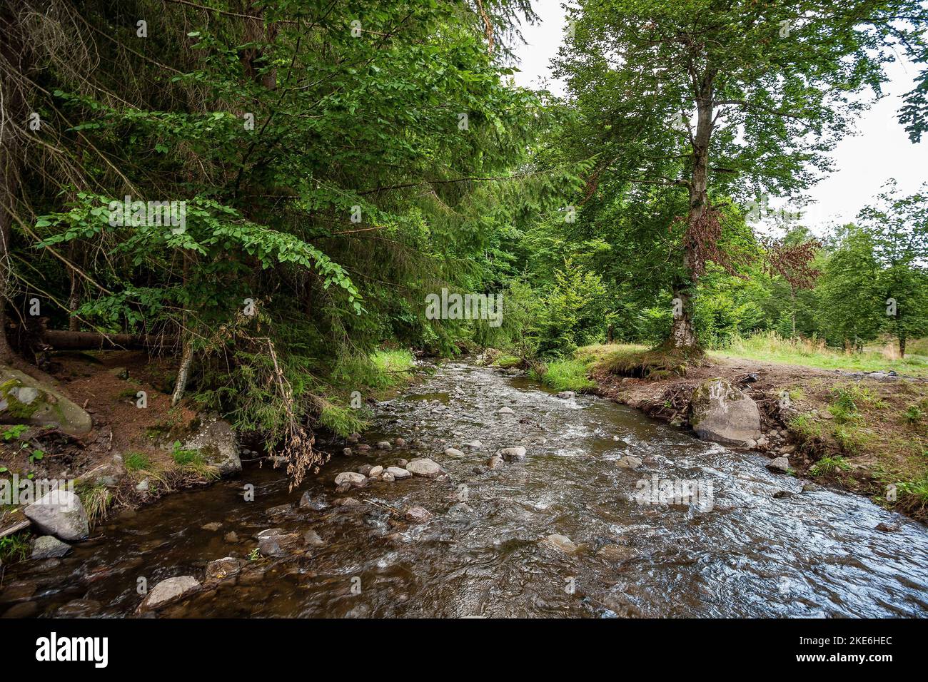 Stream bank edge hi-res stock photography and images - Alamy