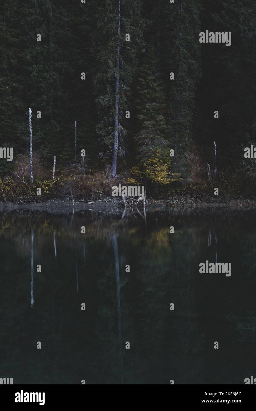 A vertical shot of a calm lake reflecting the trees behind Stock Photo ...