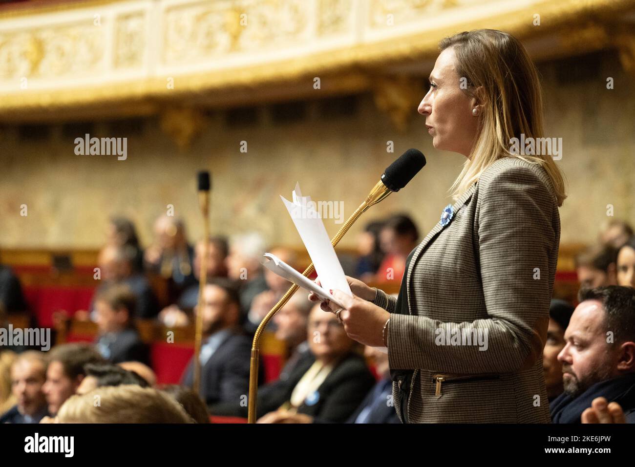 Deputy, Stephanie Galzy attends a session of Questions to the ...