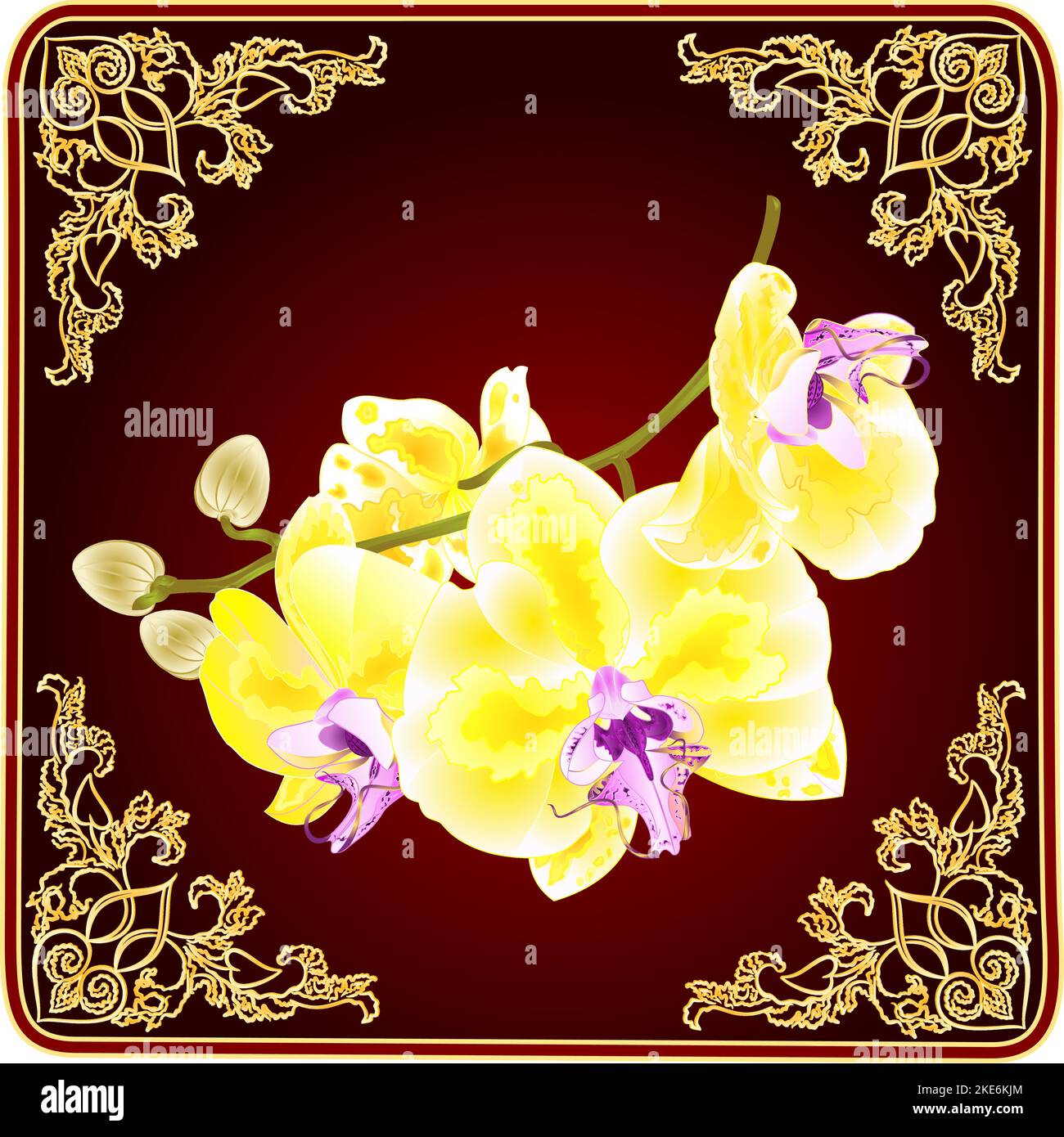 Orchid Phalaenopsis stem with golden flowers and buds tropical plants ...
