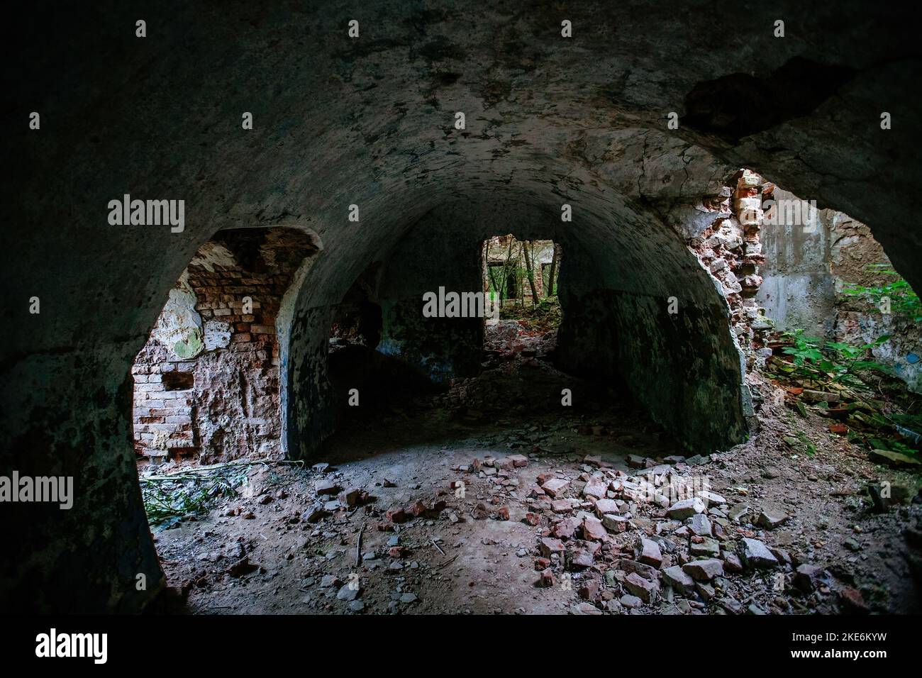 Old abandoned messy underground vaulted cellar Stock Photo - Alamy