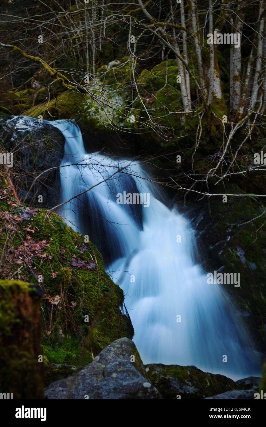 A vertical shot of a streaming waterfall in the woods Stock Photo - Alamy