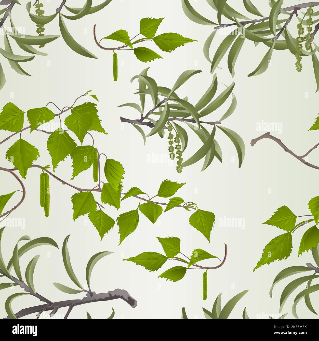 Seamless texture Willow branch with catkins and birch branch natural ...
