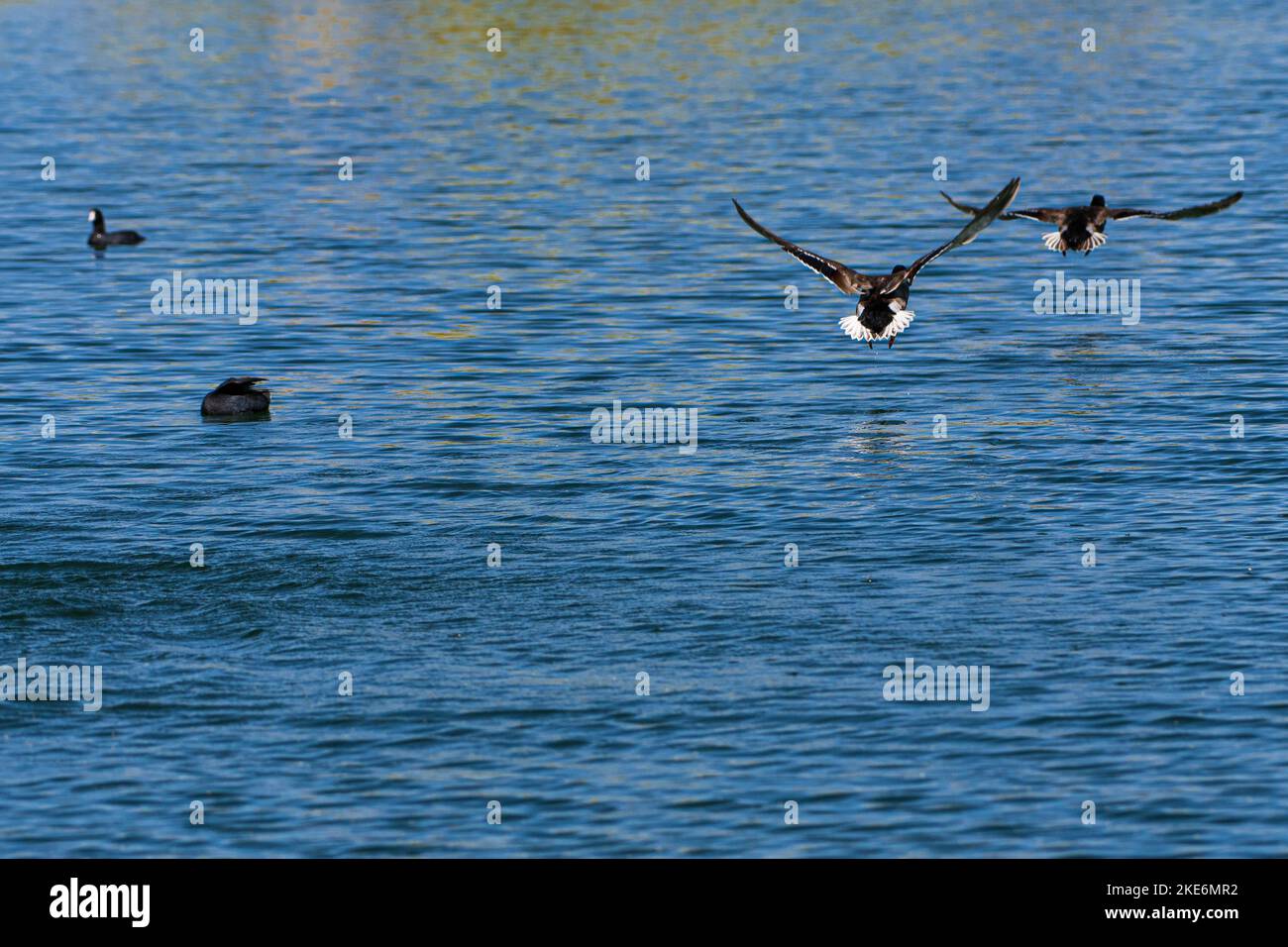 Visitarizona hi-res stock photography and images - Alamy