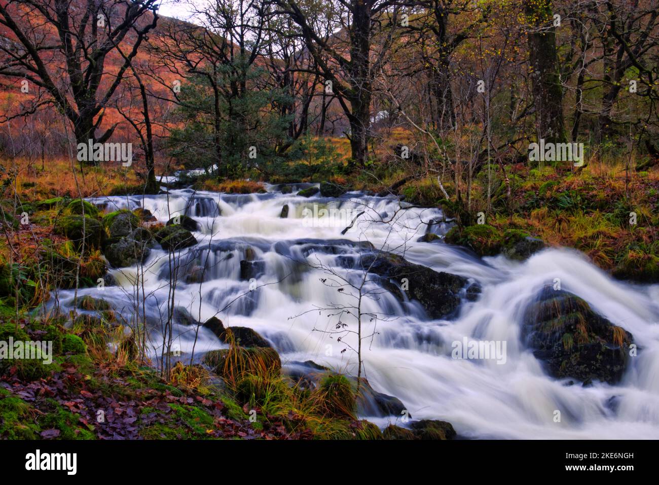 River flowing over rocks in Galloway forest park on the borderlands of ...