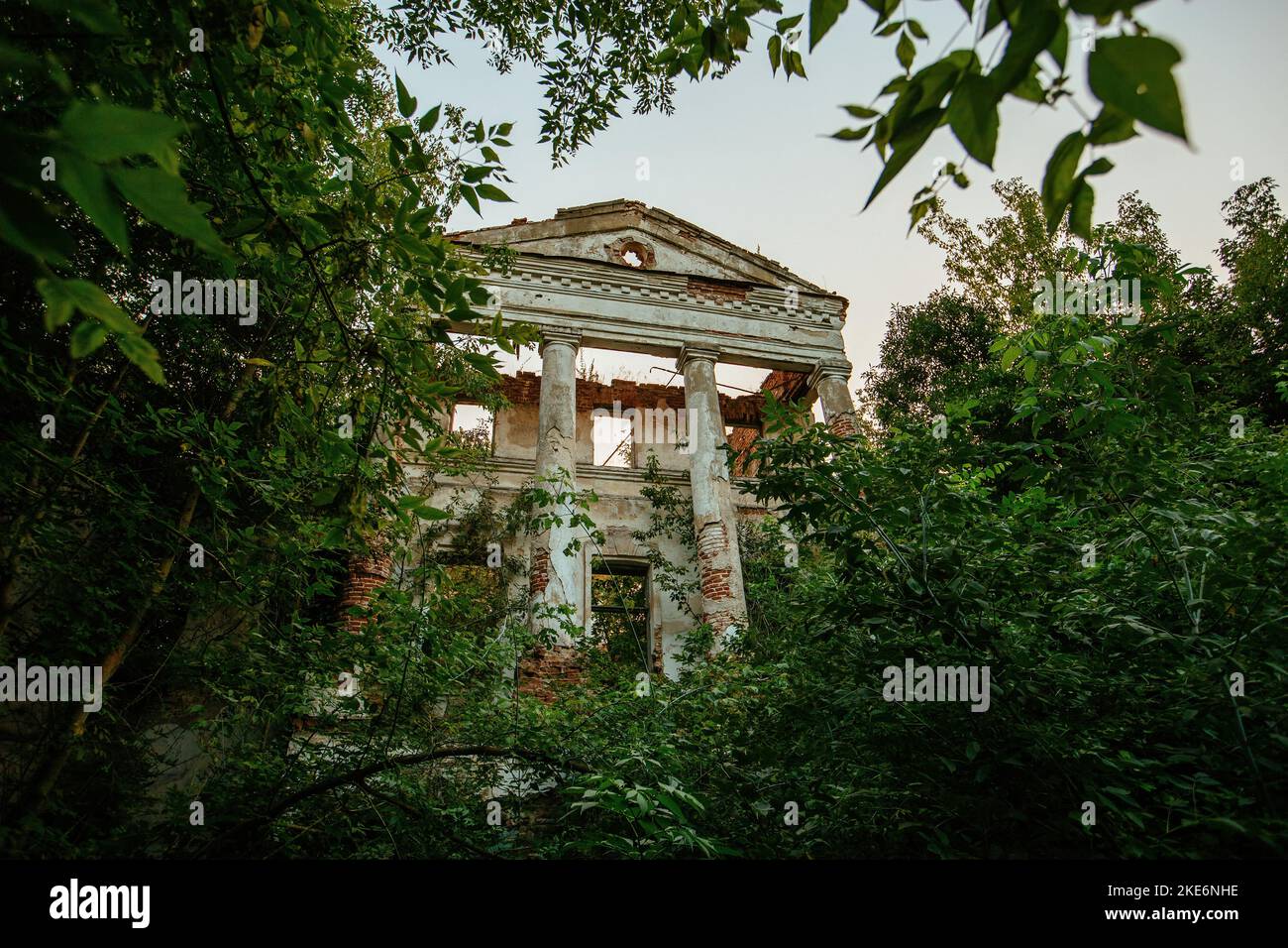 Old ruins of abandoned mansion overgrown by plants. Former Verevkin ...