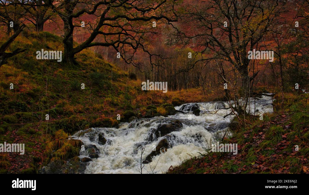 River flowing over rocks in Galloway forest park on the borderlands of ...