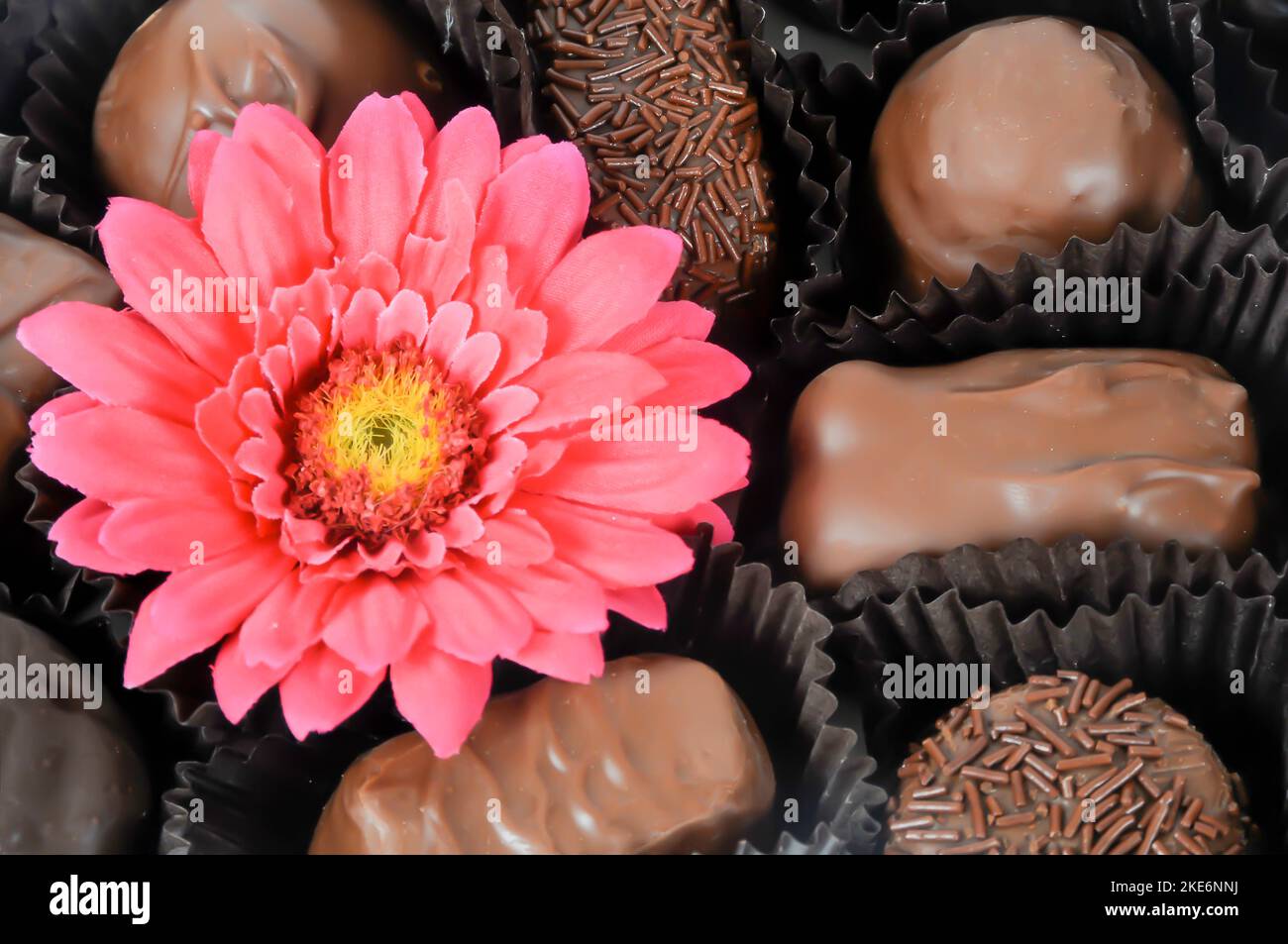 Thoughtful selection hi-res stock photography and images - Alamy