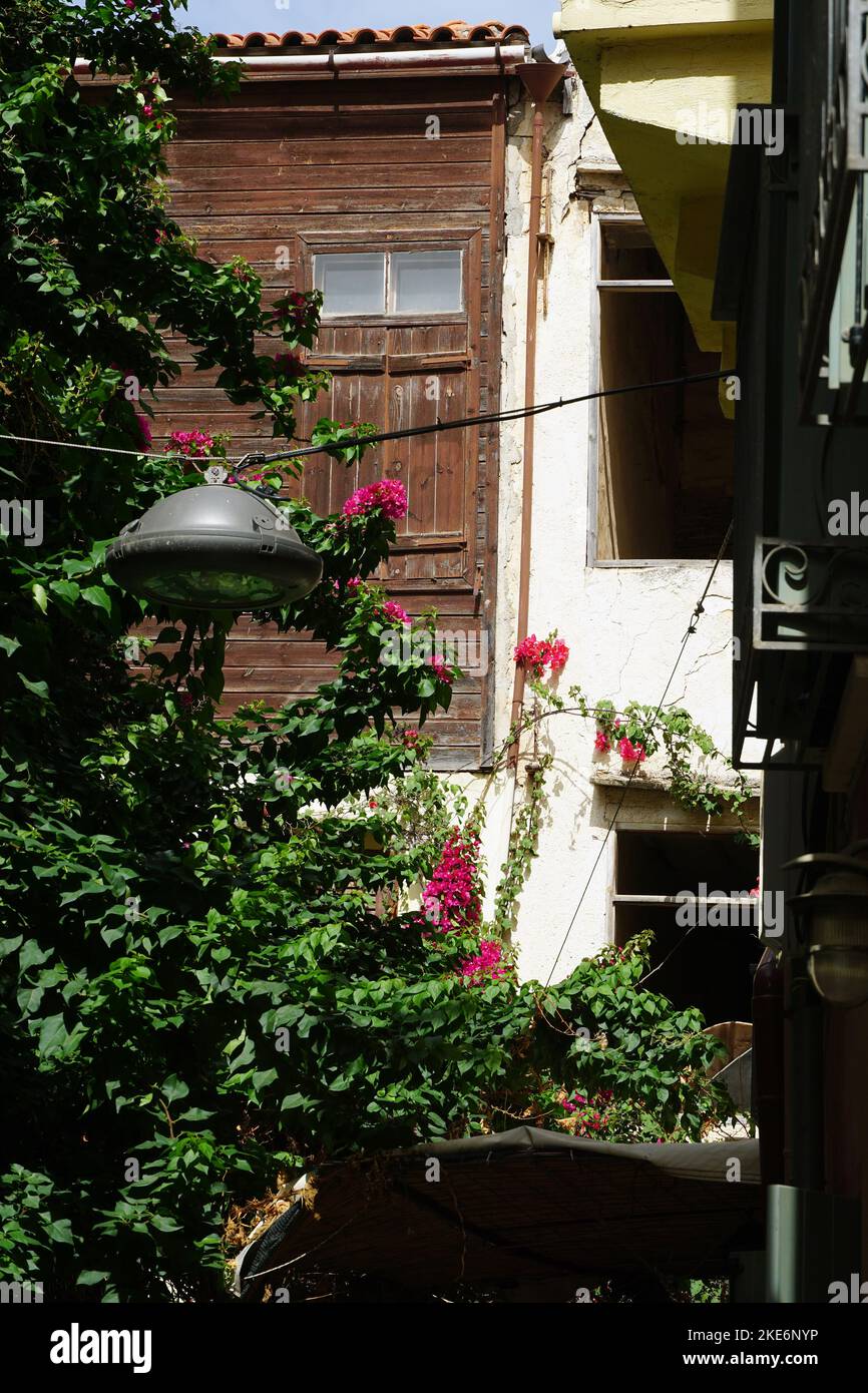 downtown, Chania, Hania, Crete, Greece, Europe Stock Photo - Alamy