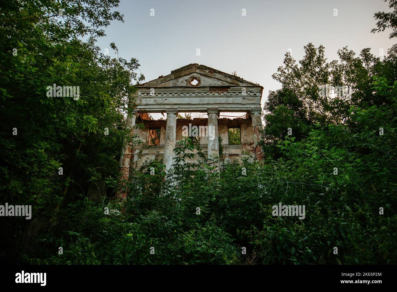 Old ruins of abandoned mansion overgrown by plants. Former Verevkin ...