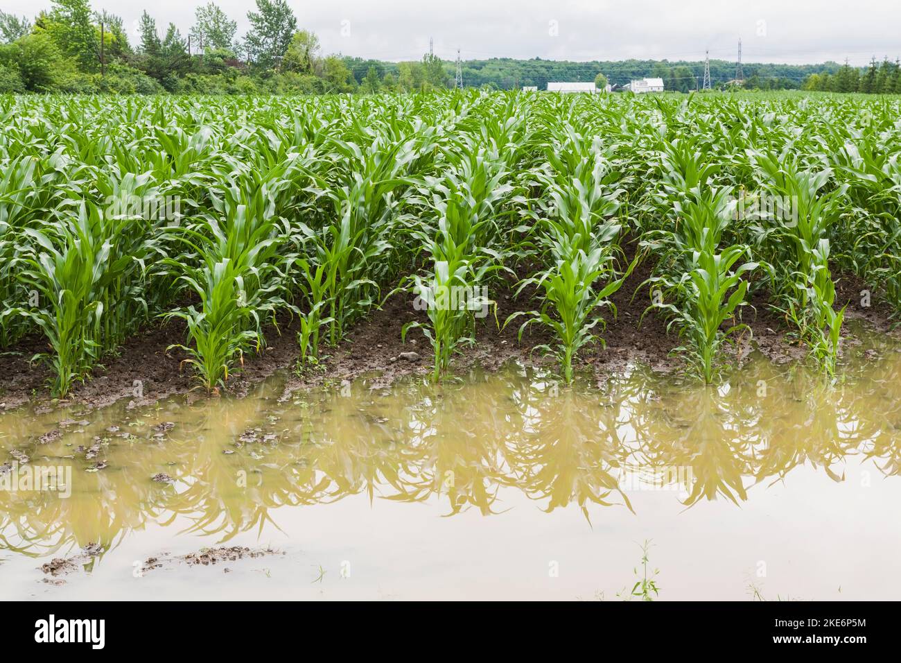 Excess of water hi-res stock photography and images - Alamy