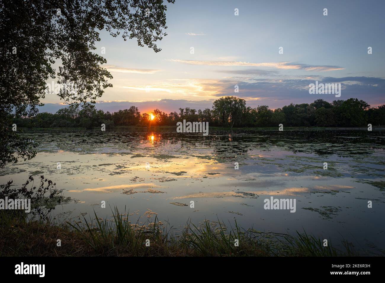 A Sun rising with green landscape and reflection on water Stock Photo ...