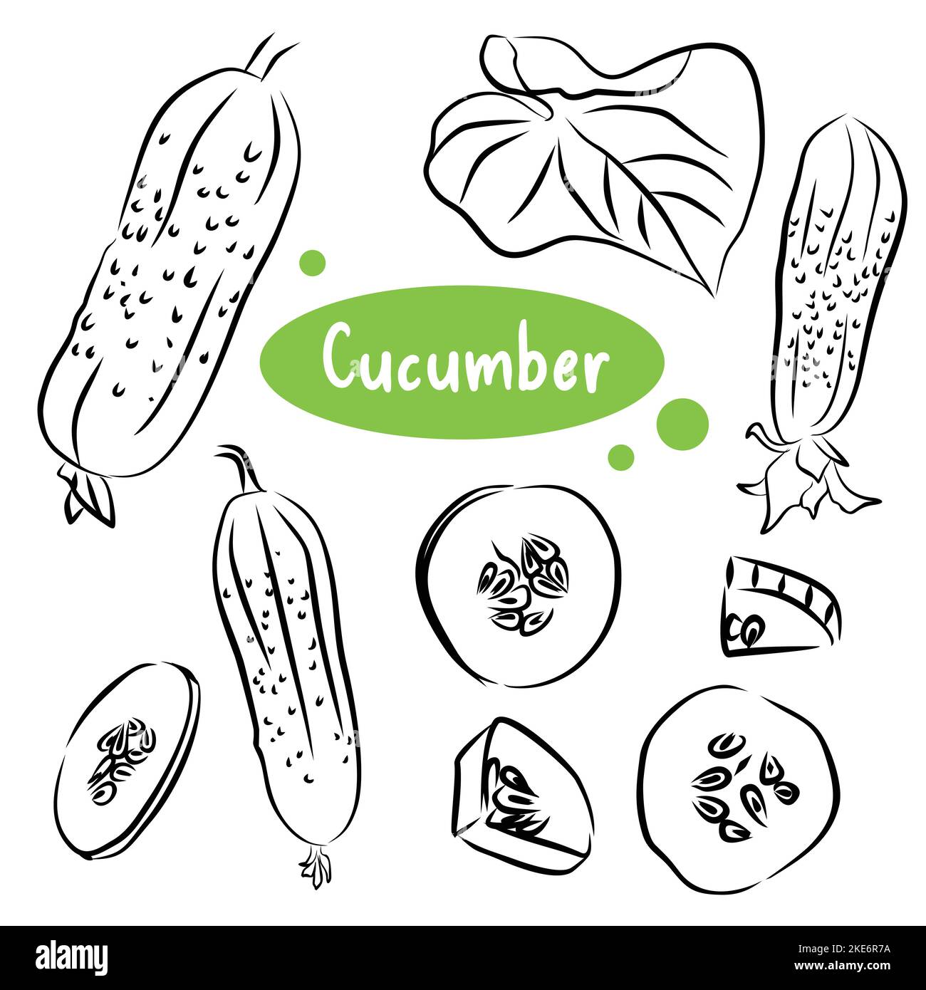 Hand drawn LINE ART cucumber. Set sketches with cut cucumber, slice ...