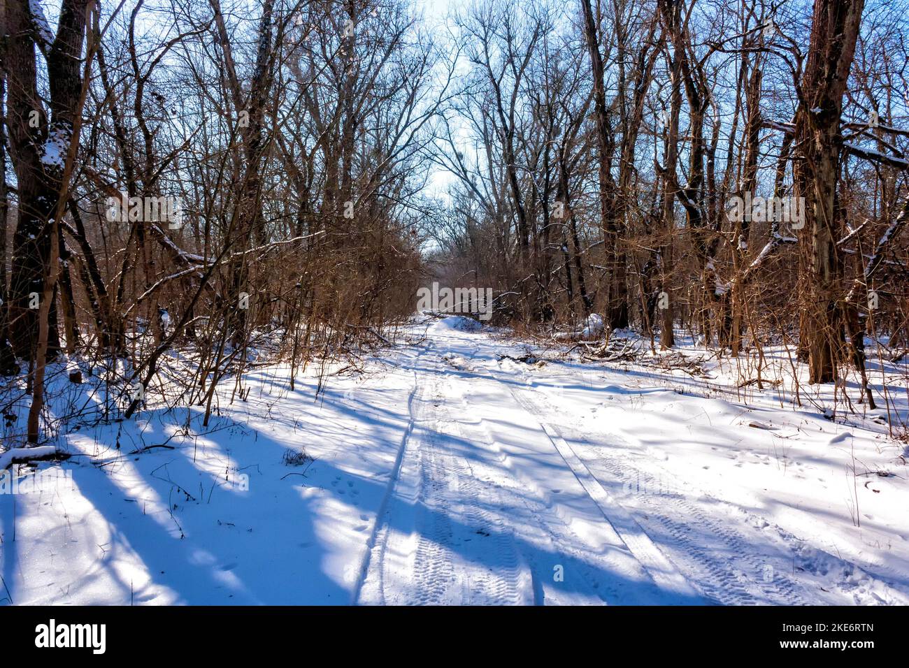 Passing through forest in winter hi-res stock photography and images ...