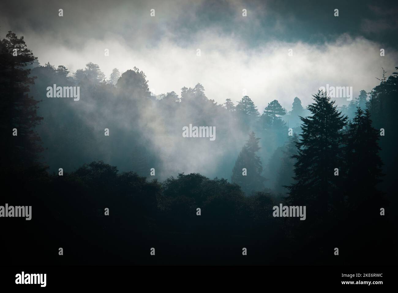 Coastal region fog hi-res stock photography and images - Alamy