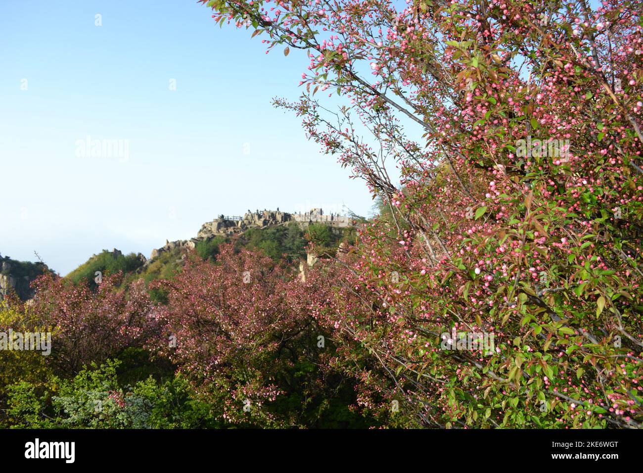 Mount Taishan is ithe first of China's Five Mountains and is famous for ...