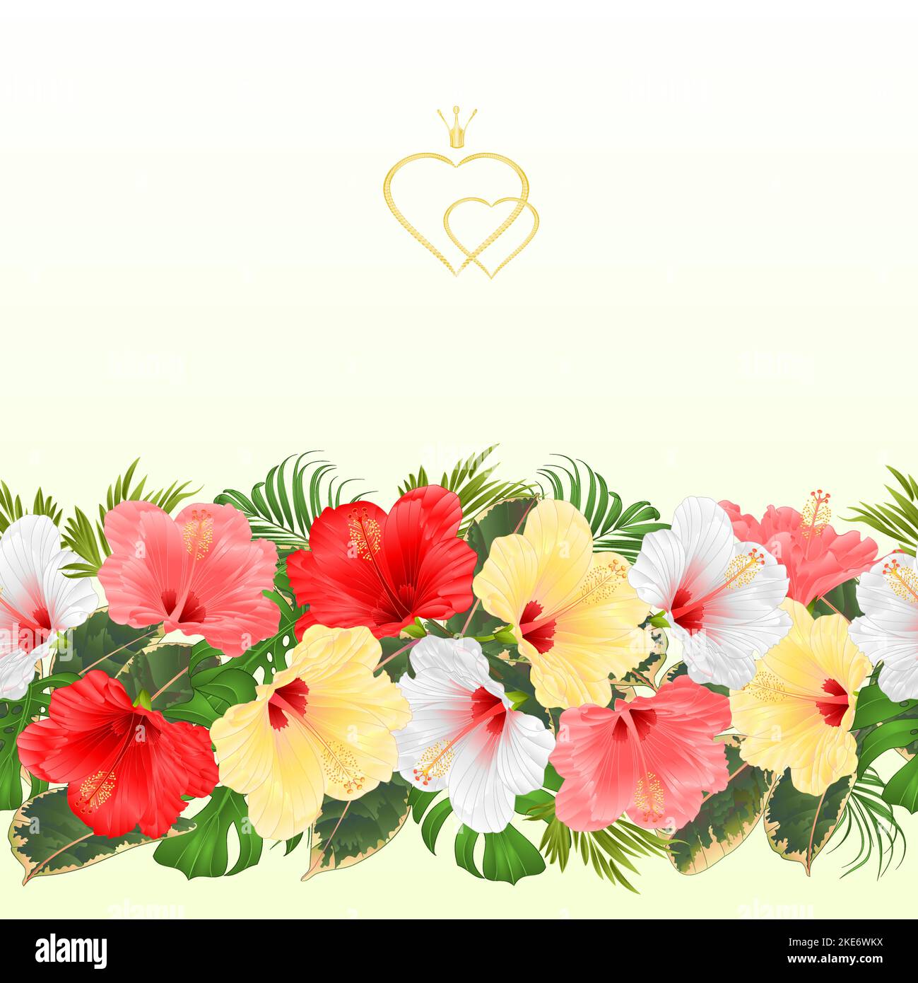Border seamless background various hibiscus white yellow red pink ...