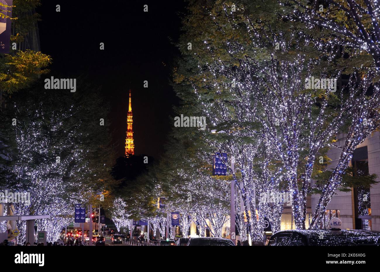 Tokyo, Japan. 10th Nov, 2022. 800,000 white and blue LED lights are ...