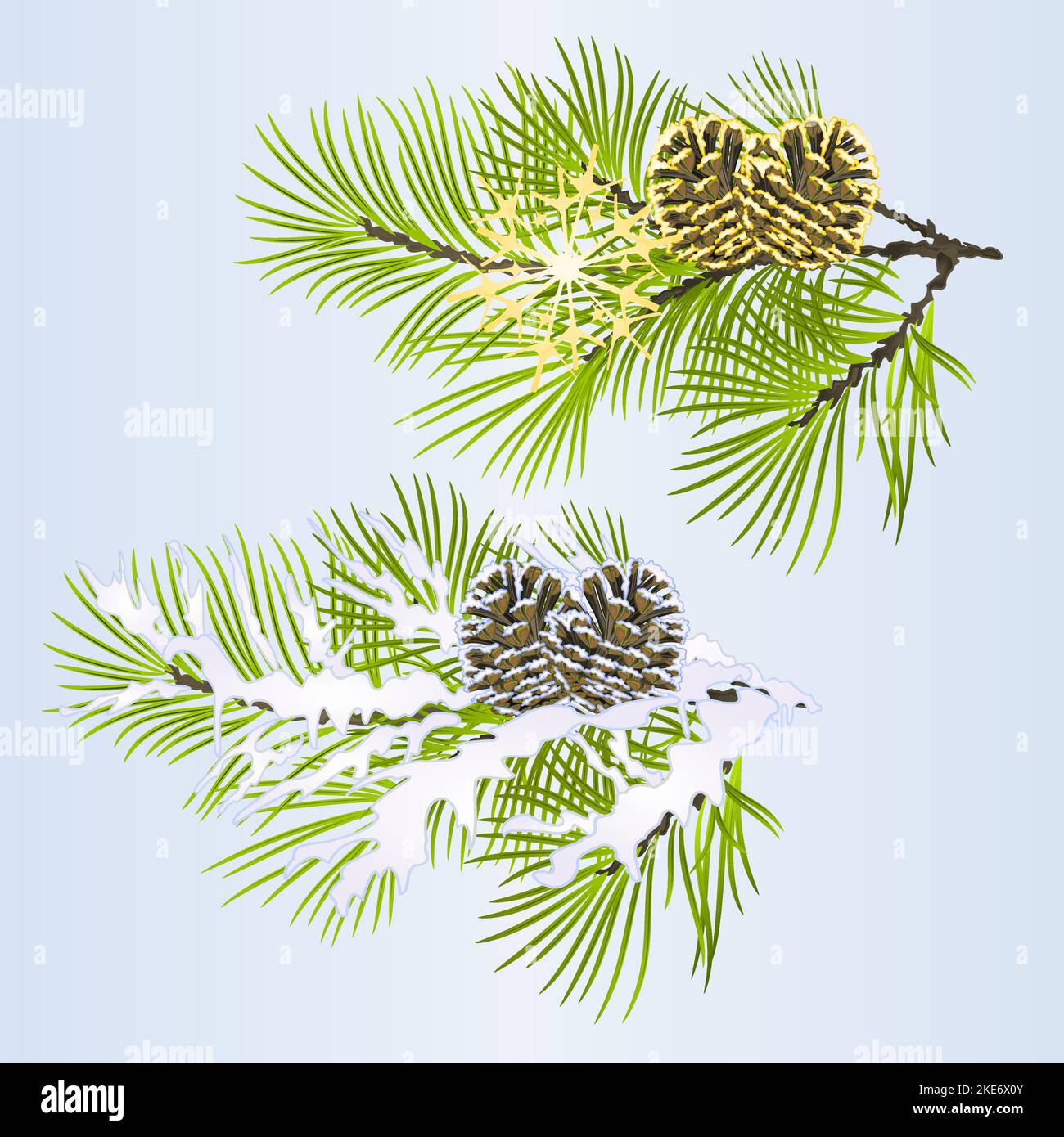 Set of Christmas and New Year decoration branches pine tree golden pine ...