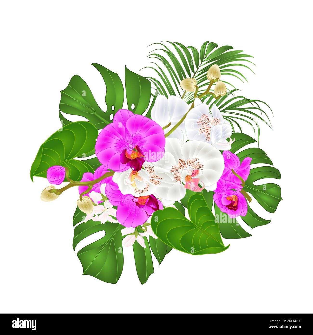 Bouquet with tropical flowers floral arrangement, with beautiful purple ...