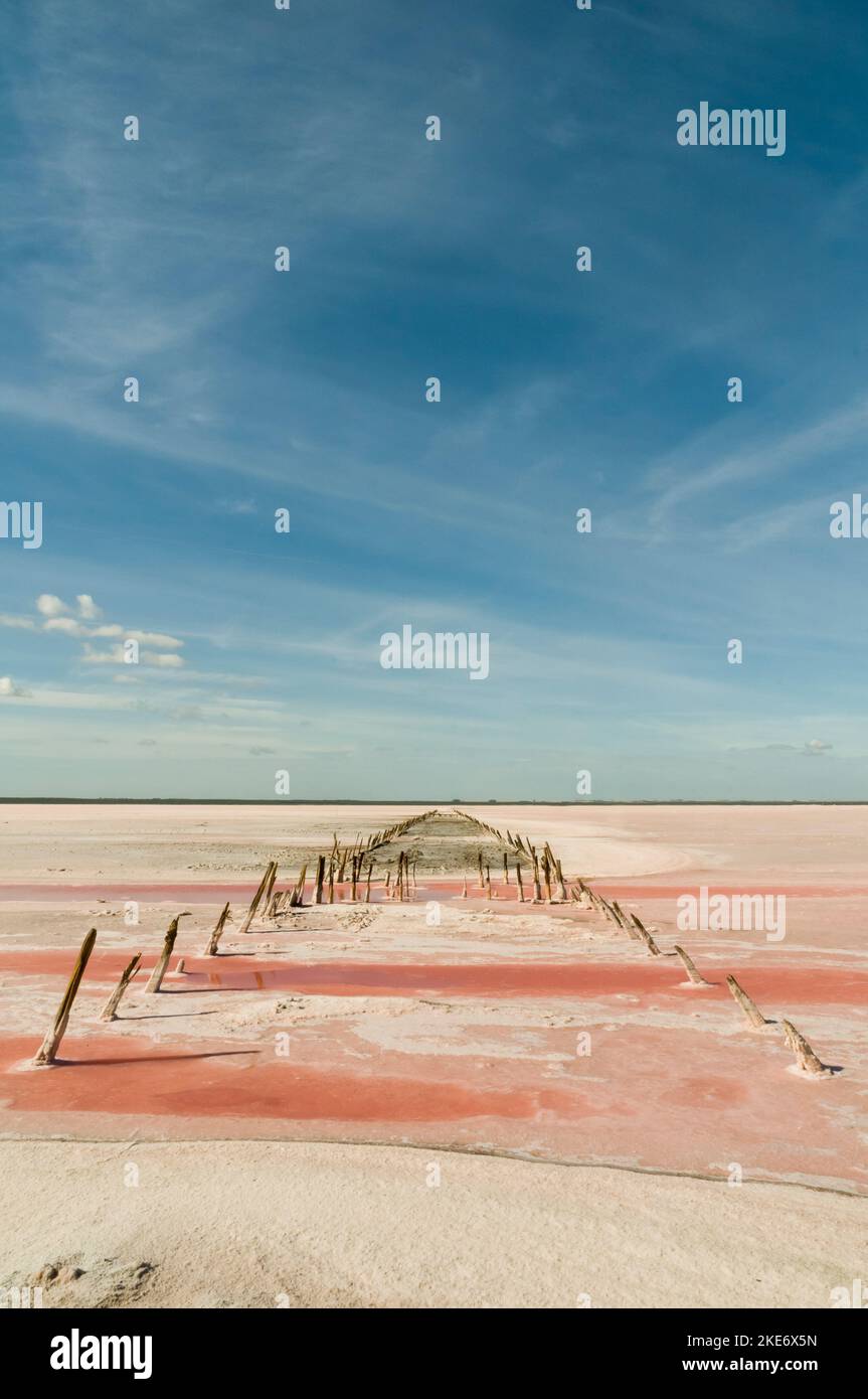 Salt lagoon,Dunaliella salina coloration, La Pampa, Argentina Stock ...
