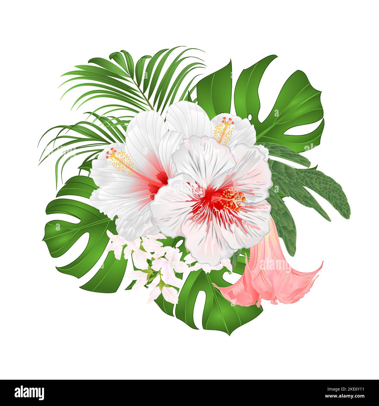 Brugmansia flowers Cut Out Stock Images & Pictures - Alamy