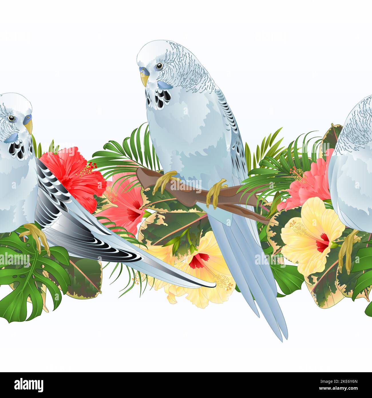 Tropical border seamless background Budgerigars, blue pet parakeets and ...