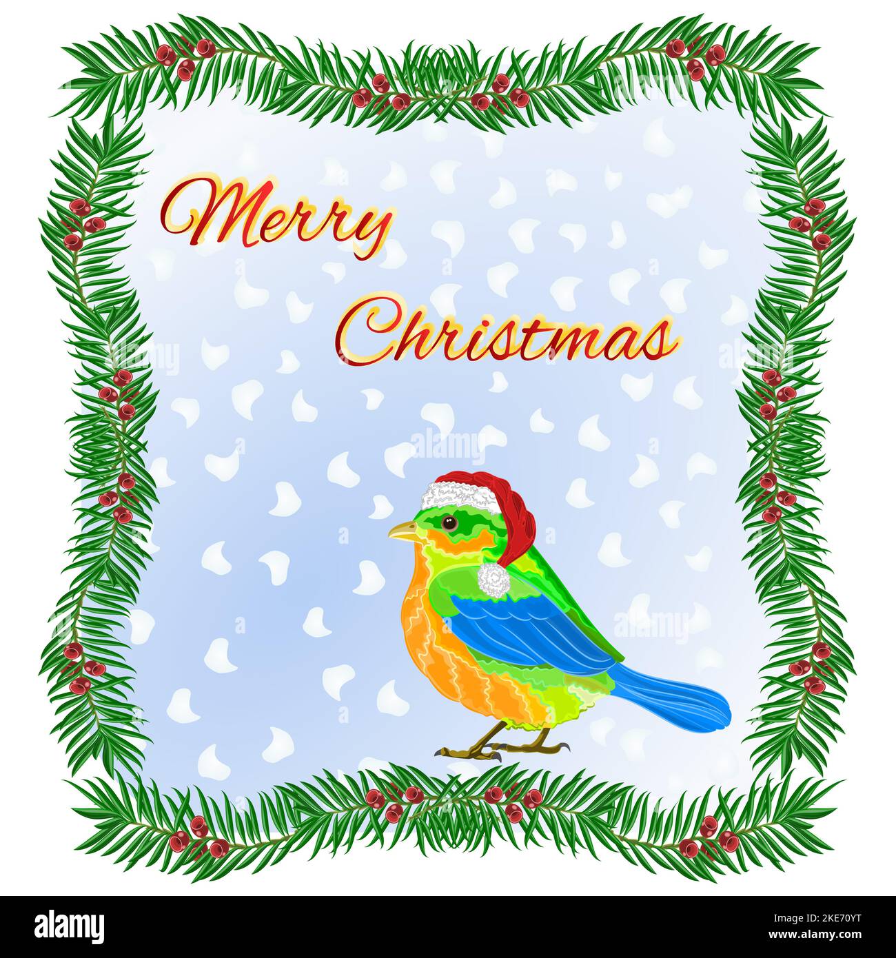 Bird yew tree hi-res stock photography and images - Alamy
