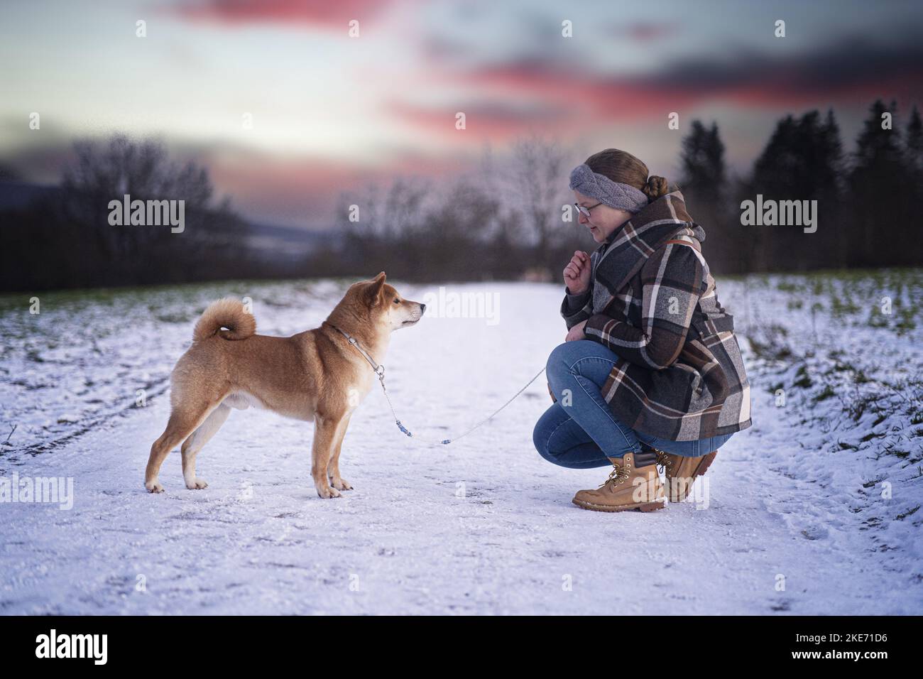 woman and Shiba Inu Stock Photo - Alamy