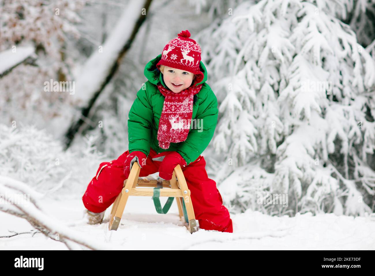 Little boy enjoying a sleigh ride. Child sledding. Toddler kid riding a ...