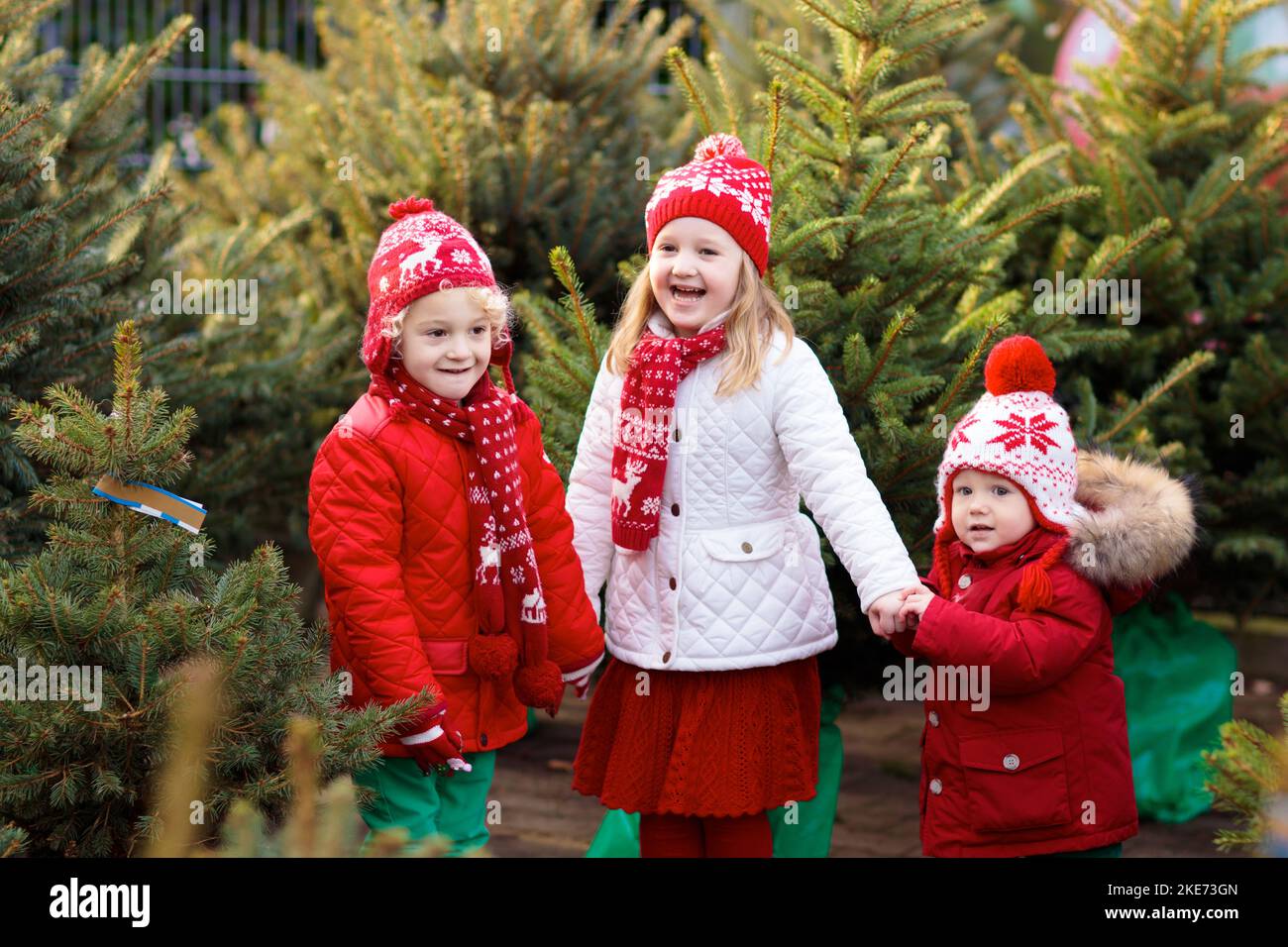 Family selecting Christmas tree. Kids choosing freshly cut Norway Xmas ...