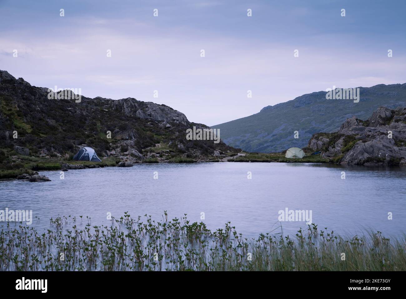 Wild camping at Innominate Tarn on Haystacks, Lake District, UK Stock ...