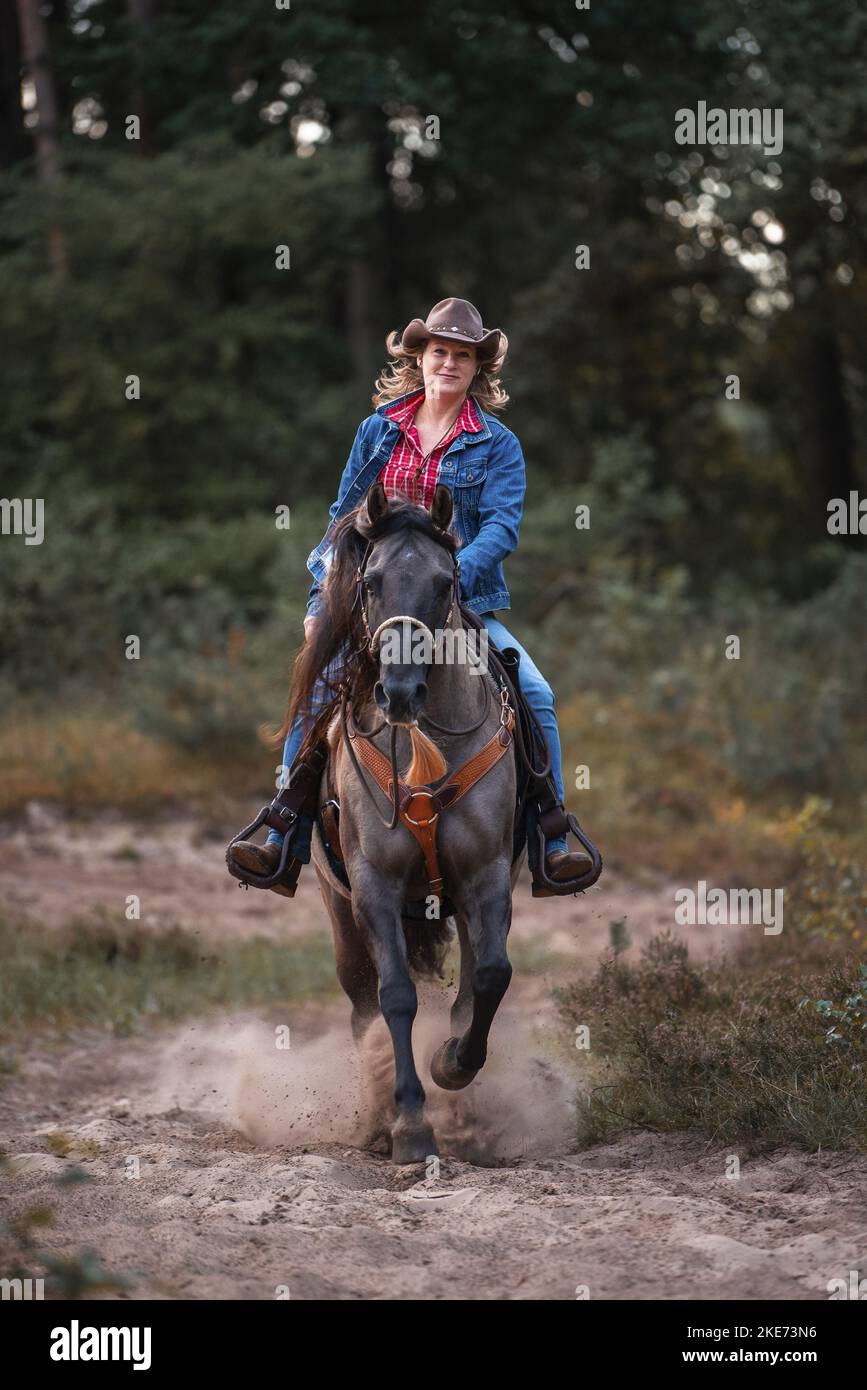 Quarab Horse with a woman Stock Photo - Alamy