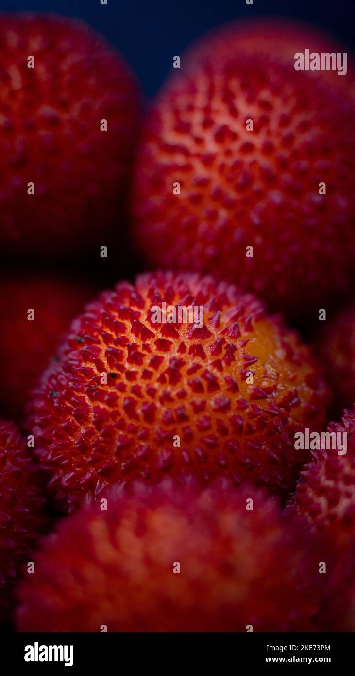 red and orange strawberry trees Stock Photo - Alamy