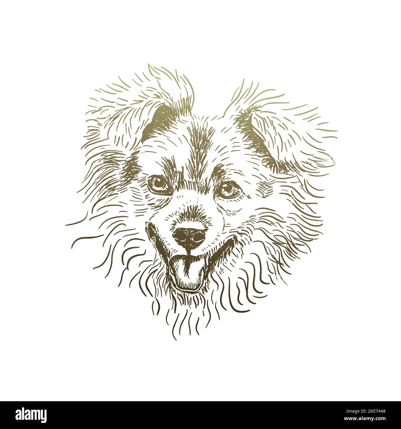 The face of a pooch dog with a line. Vector illustration Stock Vector ...