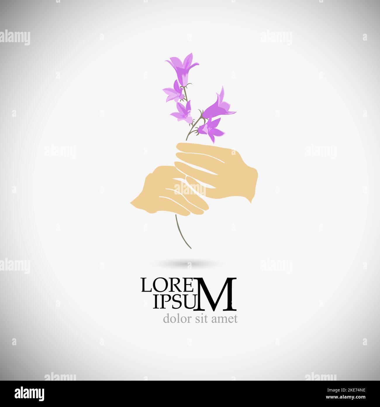 White beautiful flower harebell Stock Vector Images - Alamy