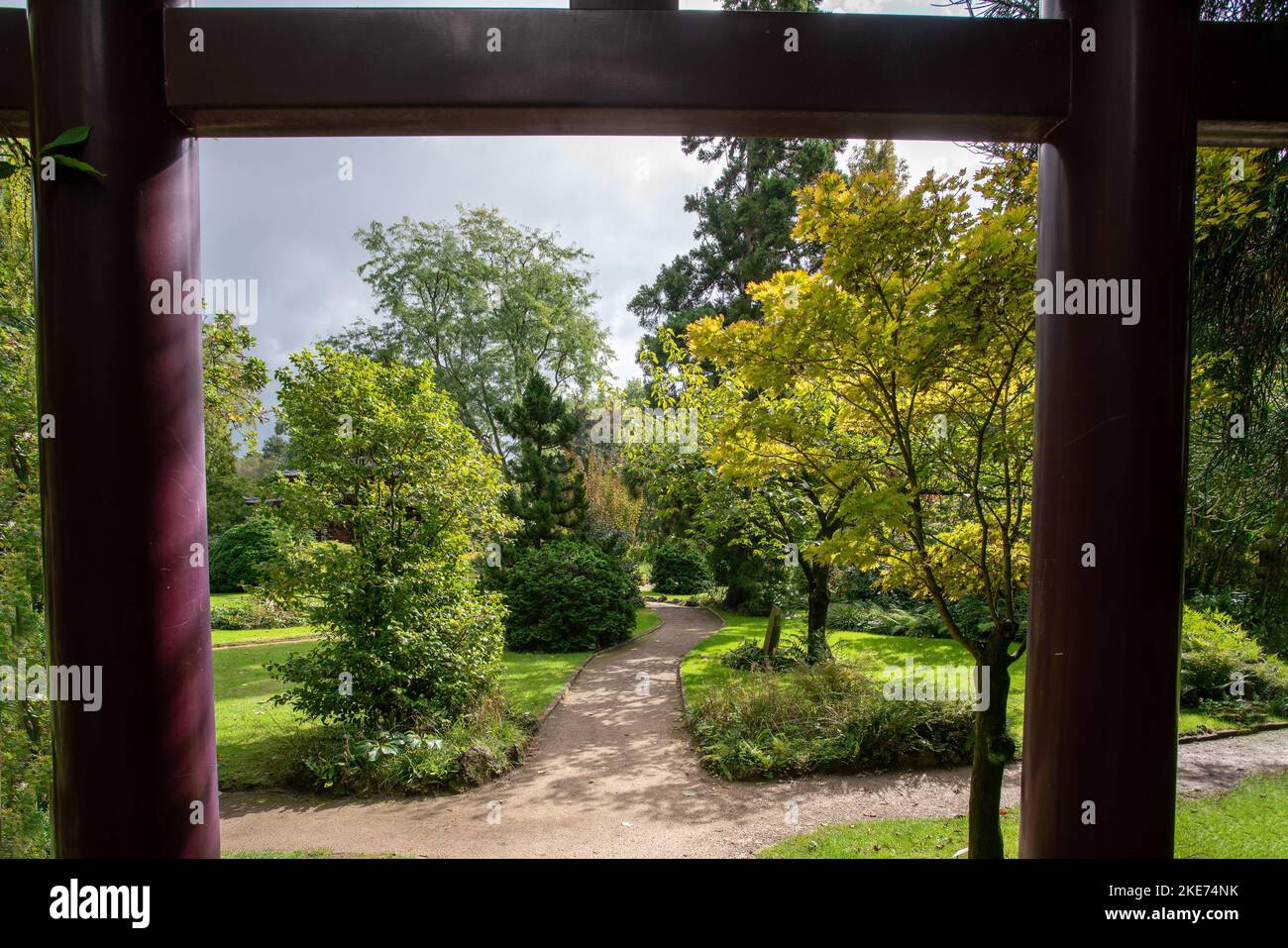 View on japanese garden under japanese gates (Torii gates) in ...