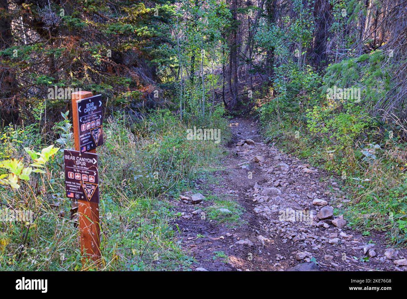 Hiking Trail Sign Bear Canyon Trail by Timpanogos, Wasatch Range Rocky ...